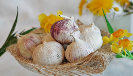 Top 10 Healthiest Vegetables - Masters of Kitchen