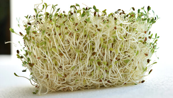 Top 10 Healthiest Vegetables - Masters of Kitchen